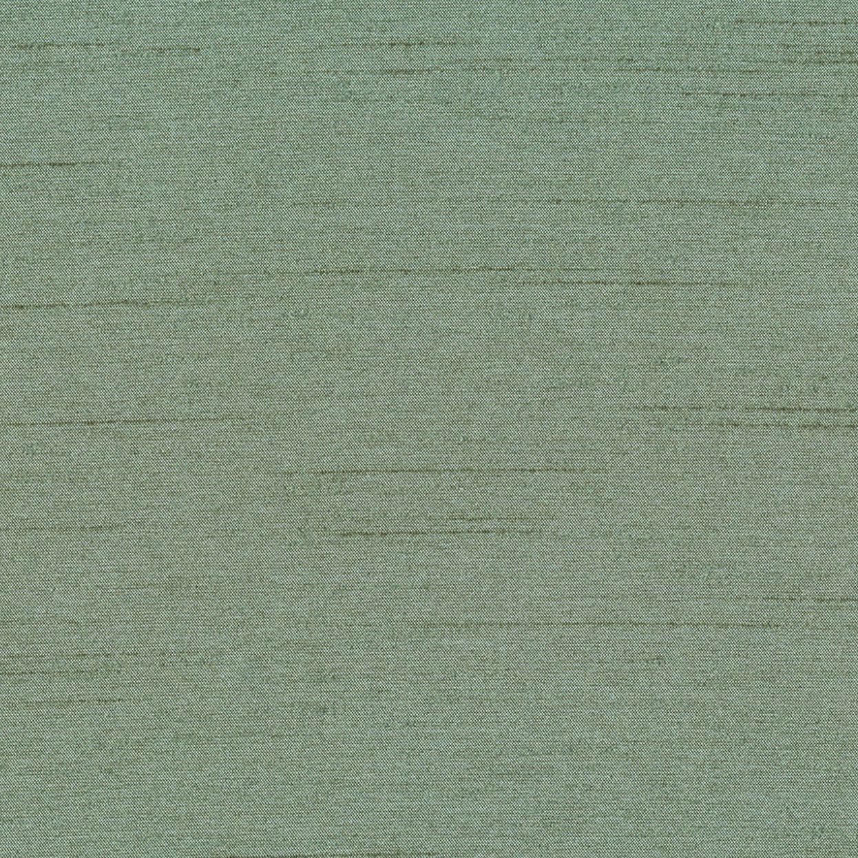 サバイ150 | TECTURE（テクチャー）