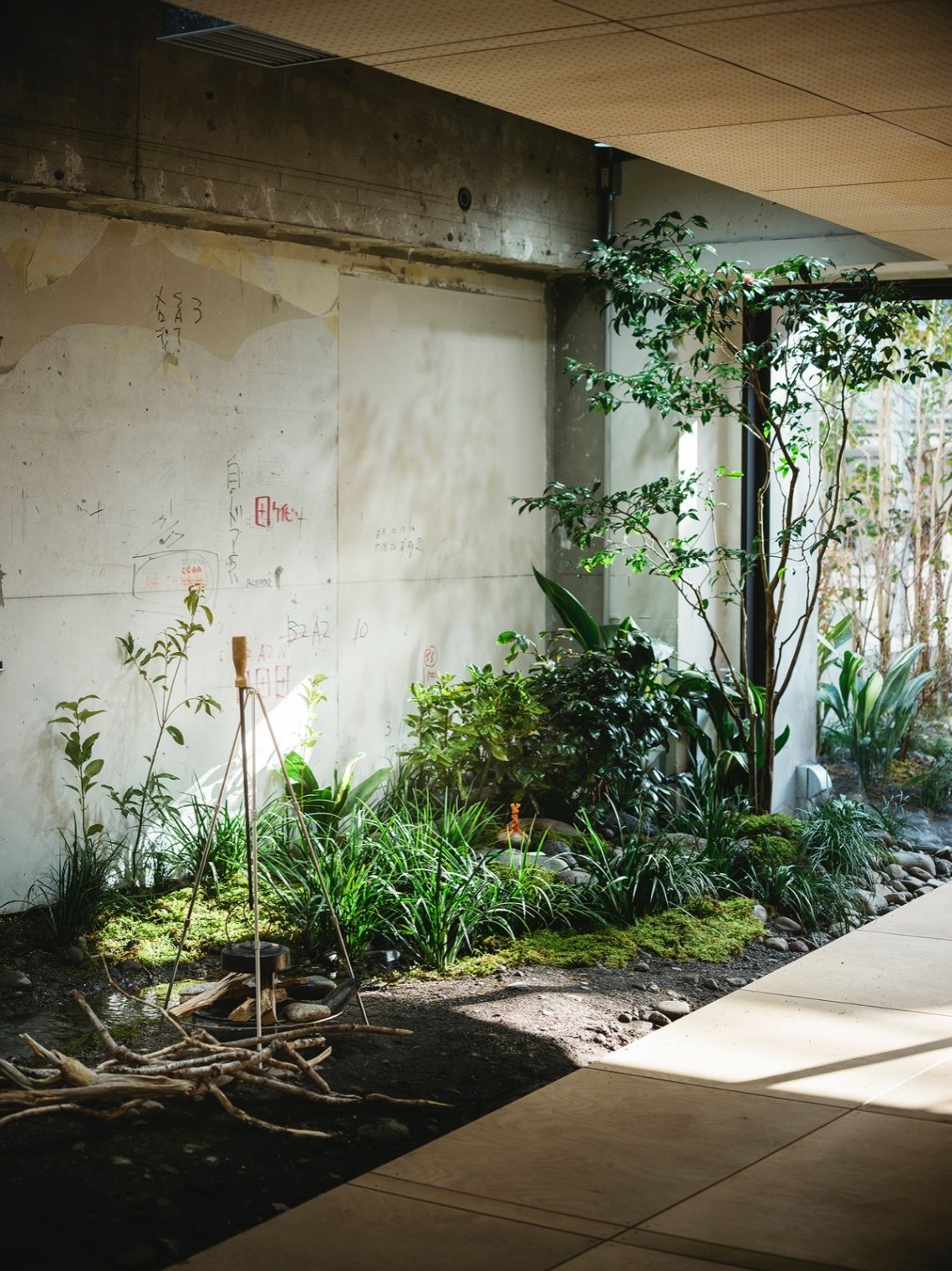 UPI 表参道の写真 | TECTURE（テクチャー）