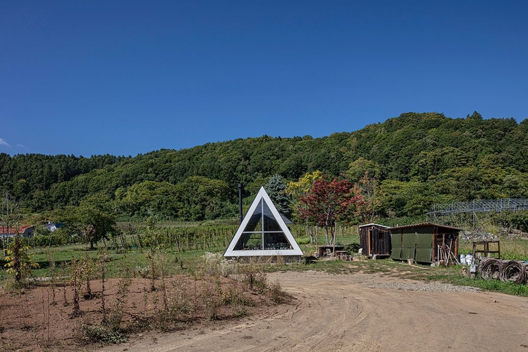 Niki H の写真 | TECTURE（テクチャー）