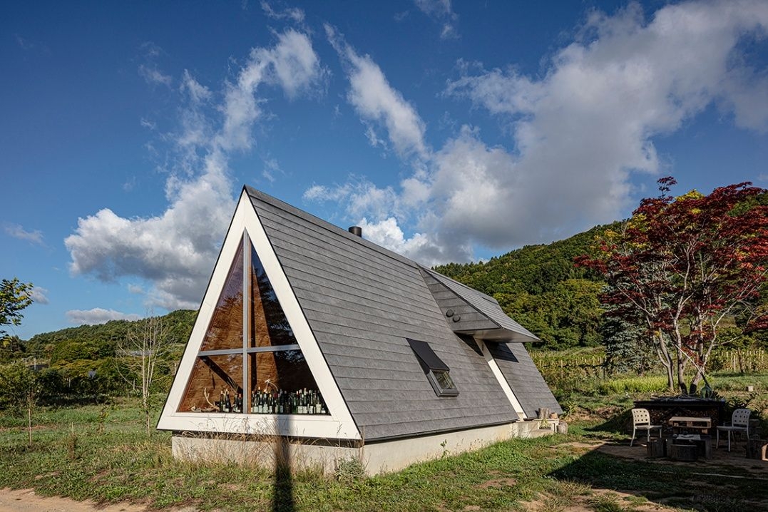 Niki H の写真 | TECTURE（テクチャー）