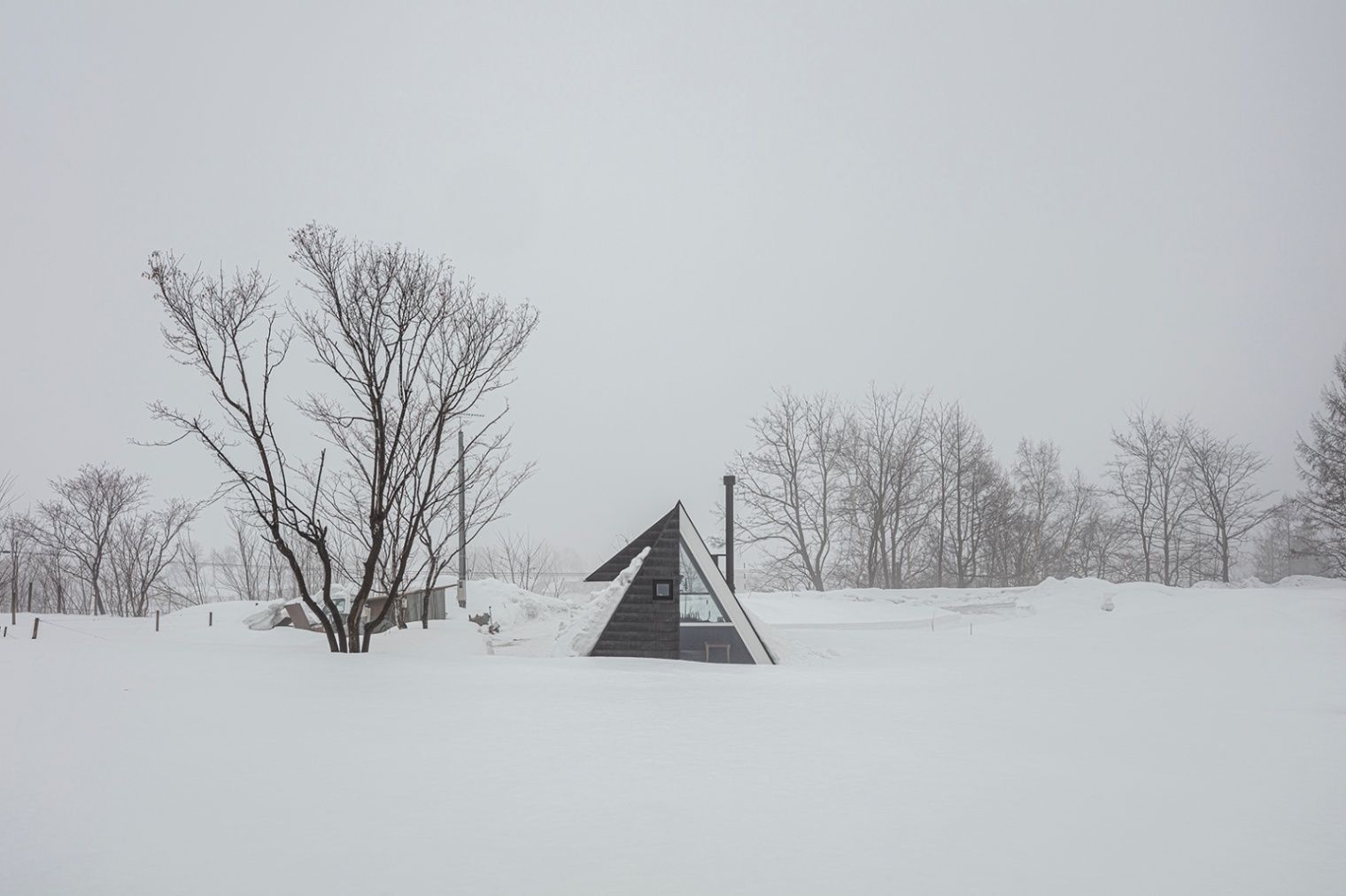 Niki H の写真 | TECTURE（テクチャー）