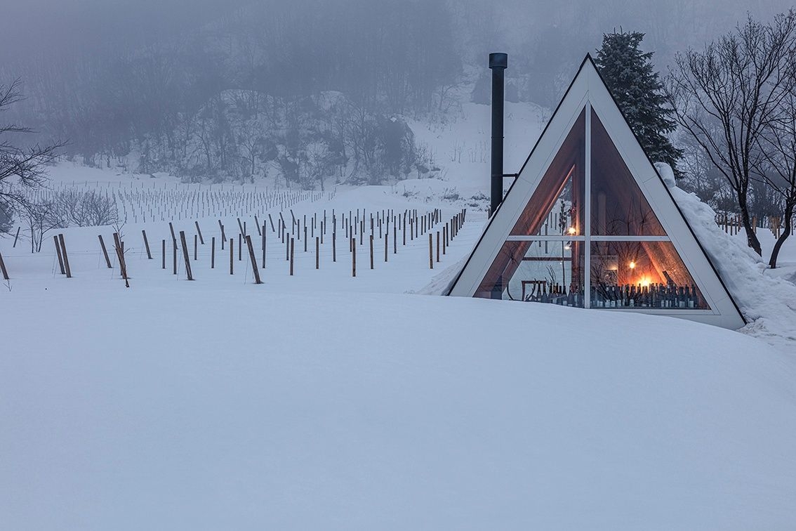 Niki H の写真 | TECTURE（テクチャー）