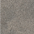 BLOOM / ブルーム | TECTURE（テクチャー）