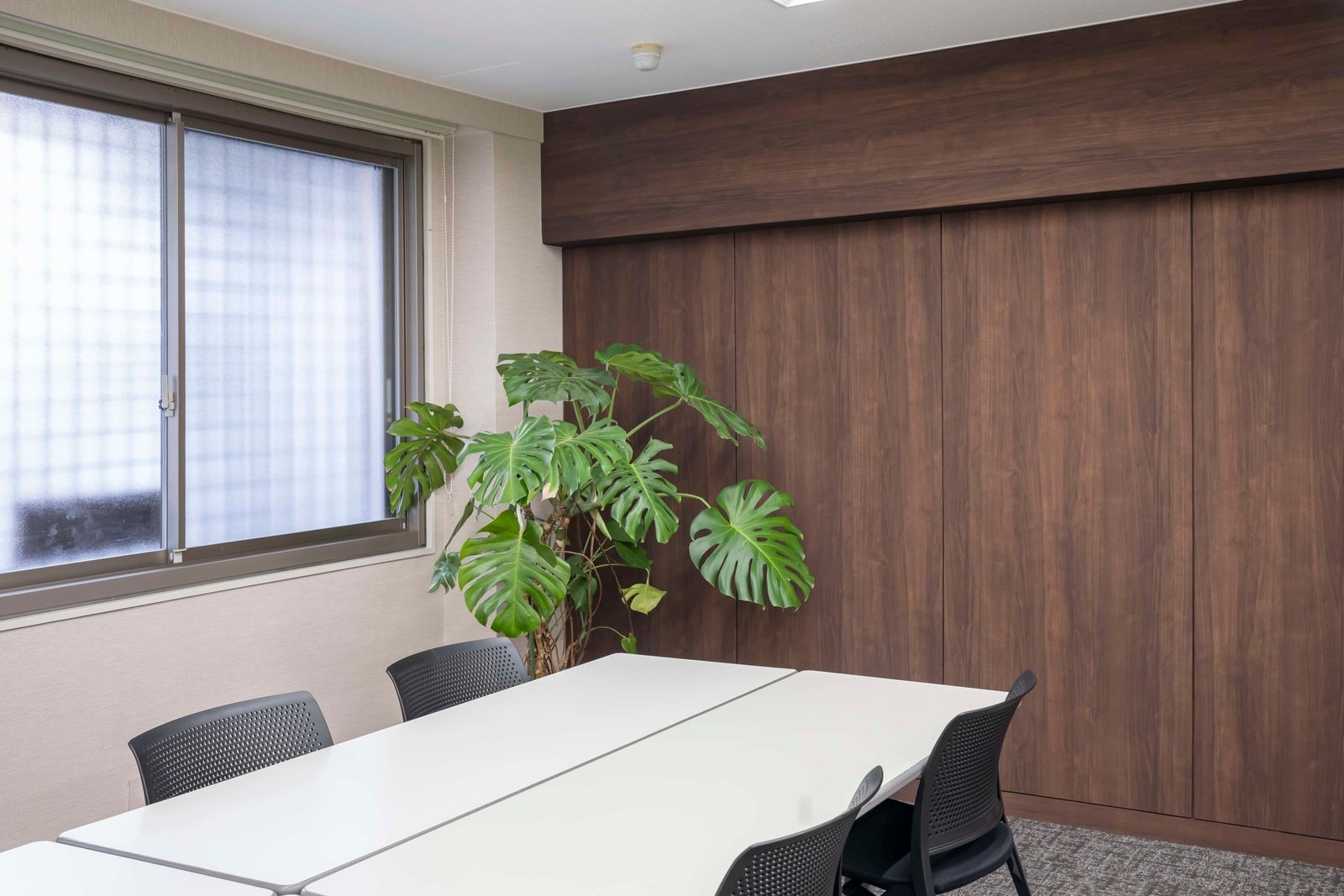 写真 | TECTURE（テクチャー）