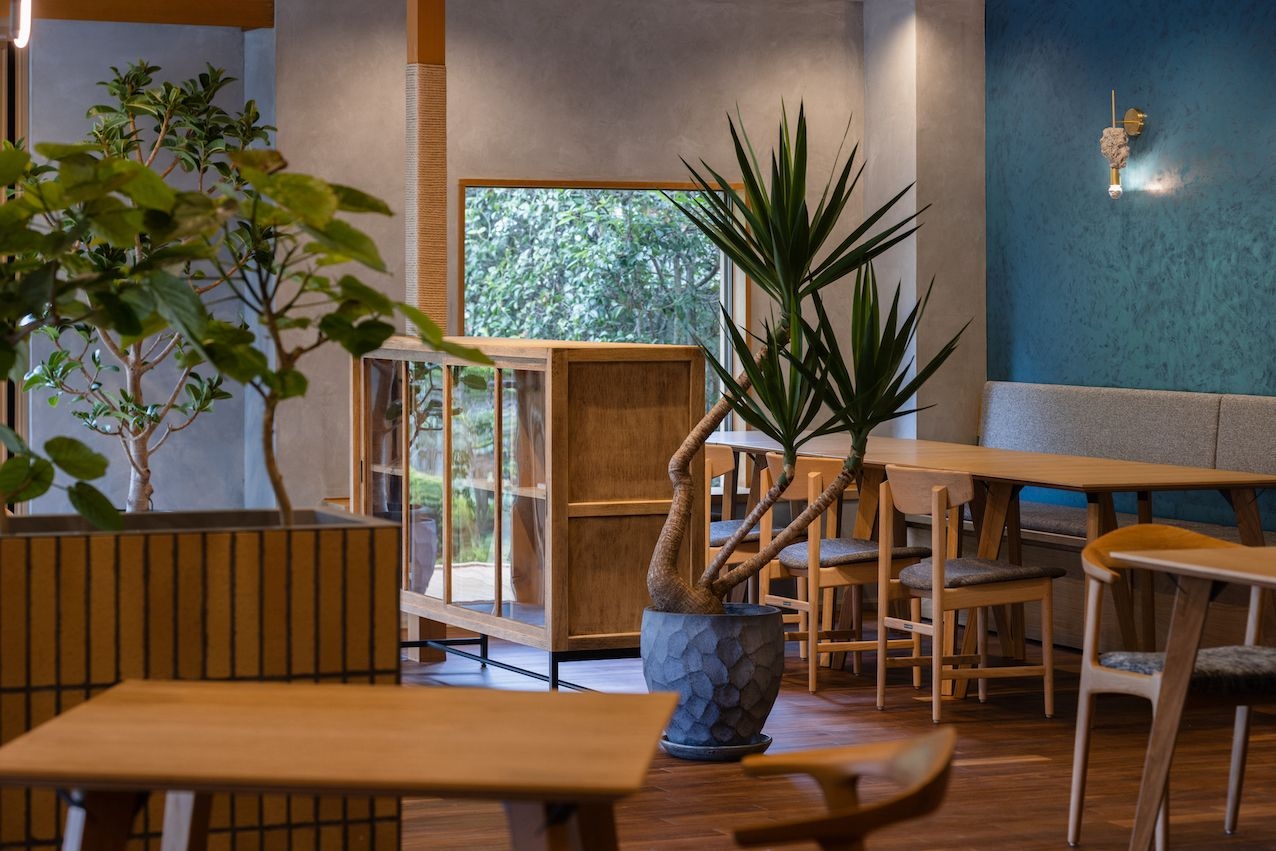 SHOTOENレストラン の写真 | TECTURE（テクチャー）