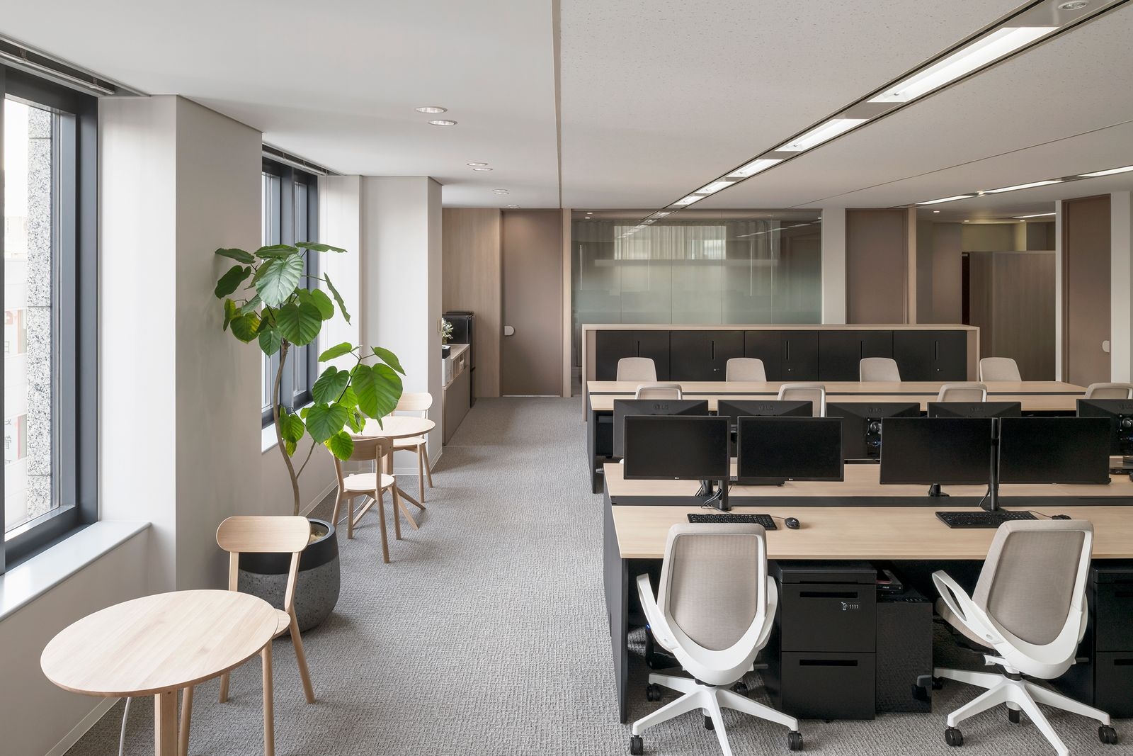 Frantoliveの写真 | TECTURE（テクチャー）