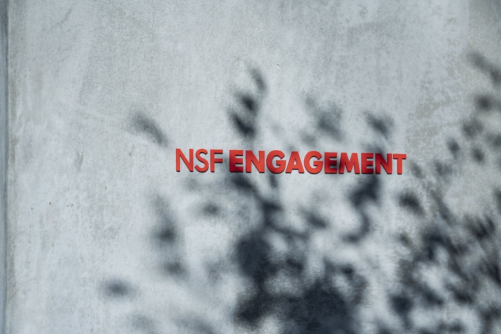 NSF-E Satellite Officeの写真 | TECTURE（テクチャー）