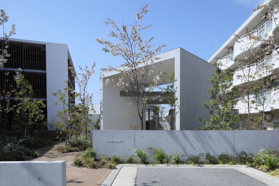 いろはの森 | TECTURE（テクチャー）