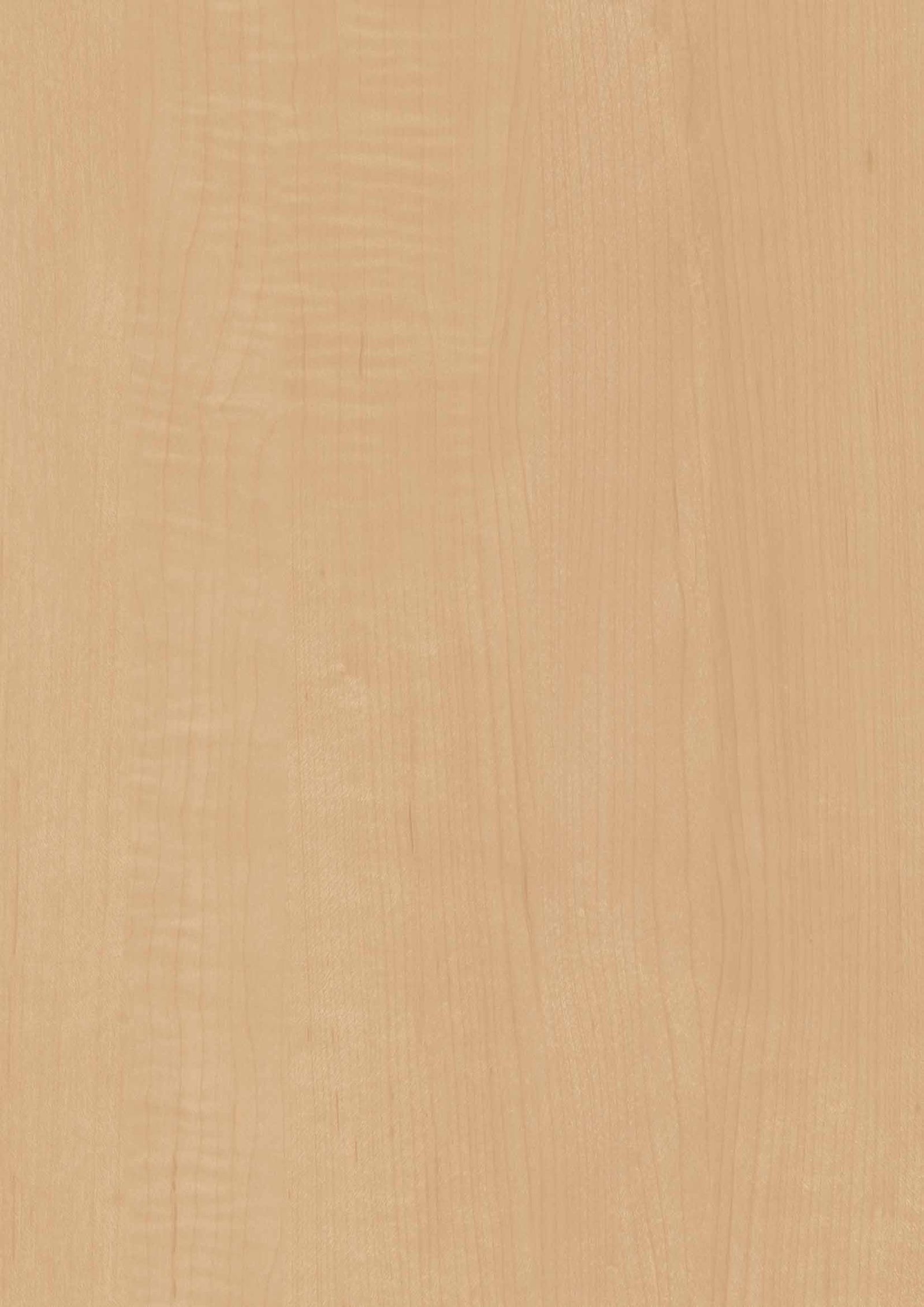 マーレスボードPT -プレミアムテクスチャー- メープル 柾目 - BBQ2081 | TECTURE（テクチャー）