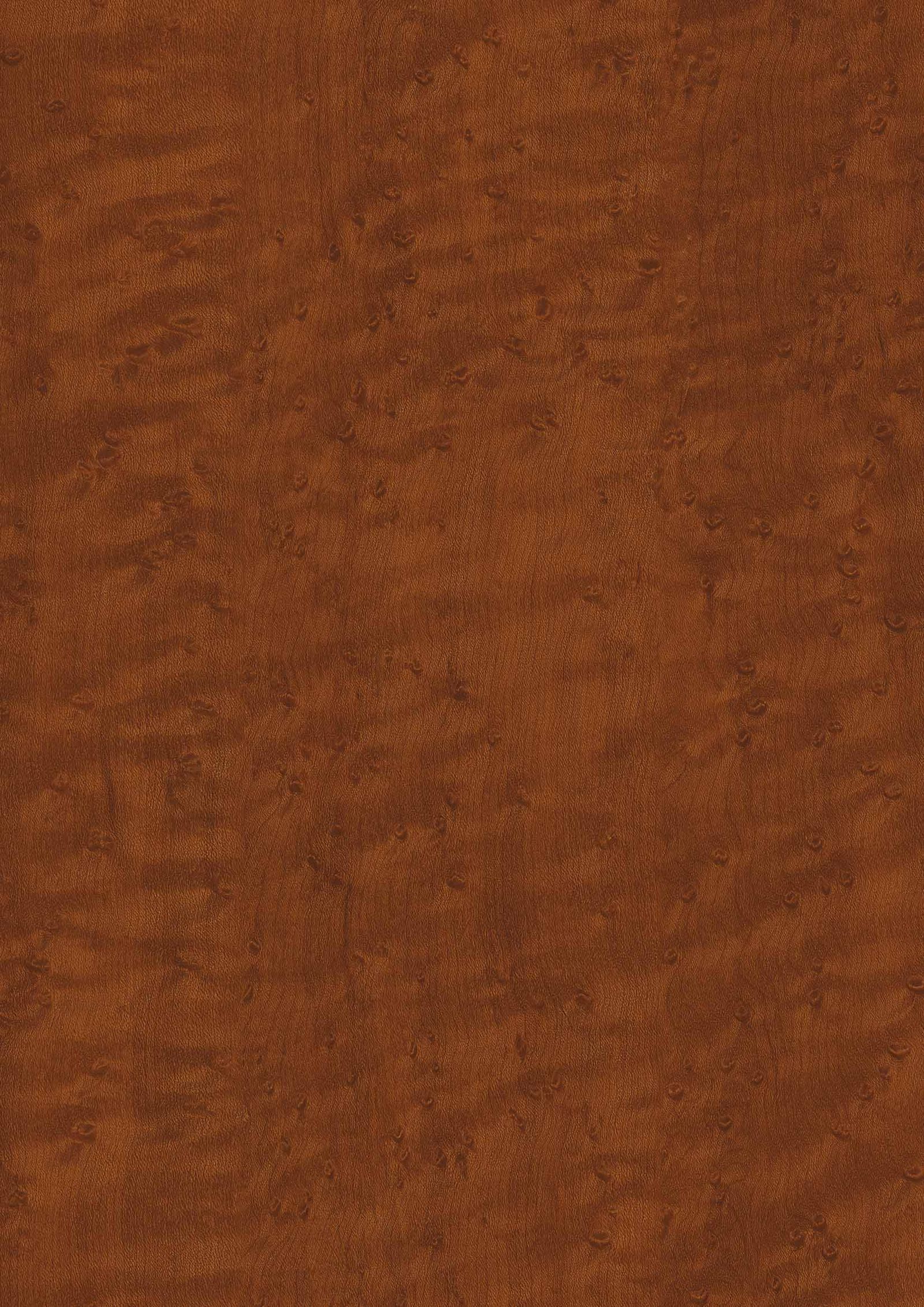 マーレスボードPT -プレミアムテクスチャー- バーズアイメープル 小杢 - BBQ2089 | TECTURE（テクチャー）