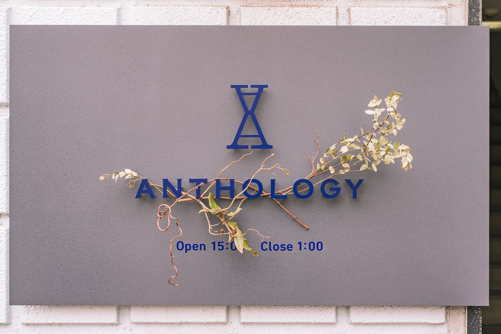 Anthologyの写真 | TECTURE（テクチャー）