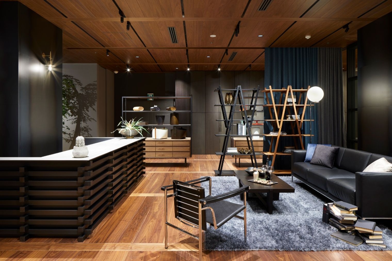 CREATORE with PLUSの写真 | TECTURE（テクチャー）