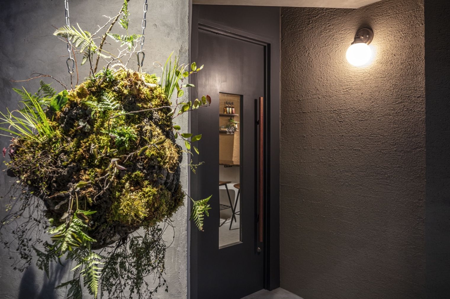 朗.朗 loulouの写真 | TECTURE（テクチャー）