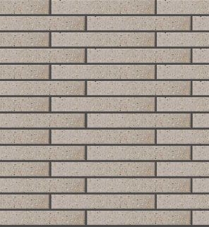 フレーバーファースト | TECTURE（テクチャー）