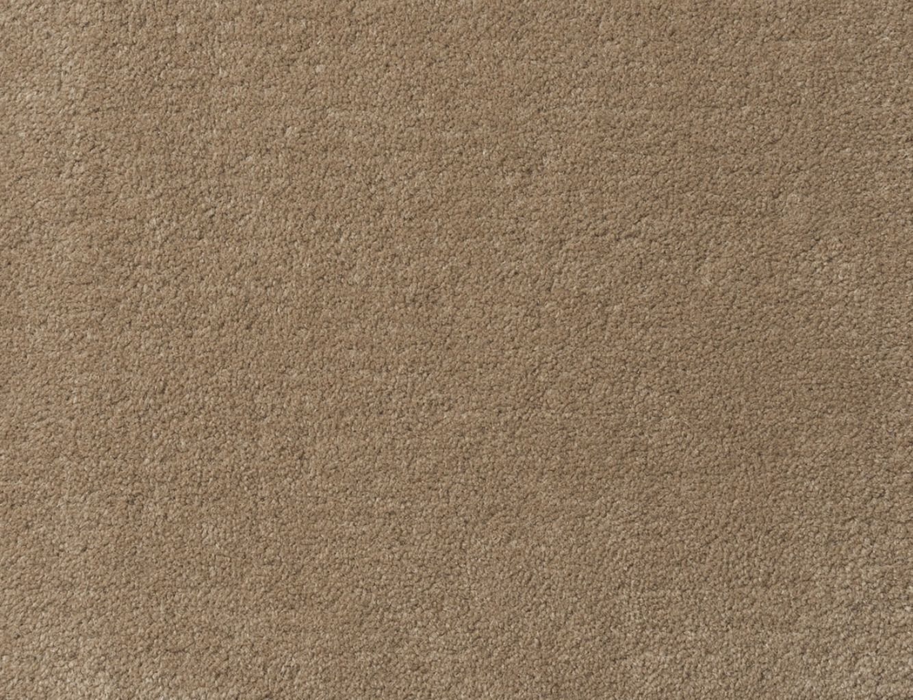 DARK BUFF | TECTURE（テクチャー）