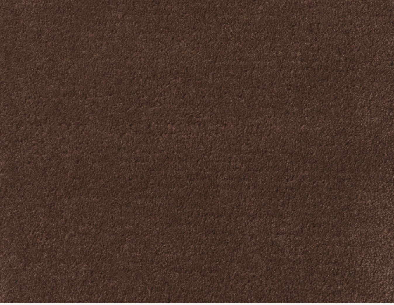 WALNUT | TECTURE（テクチャー）