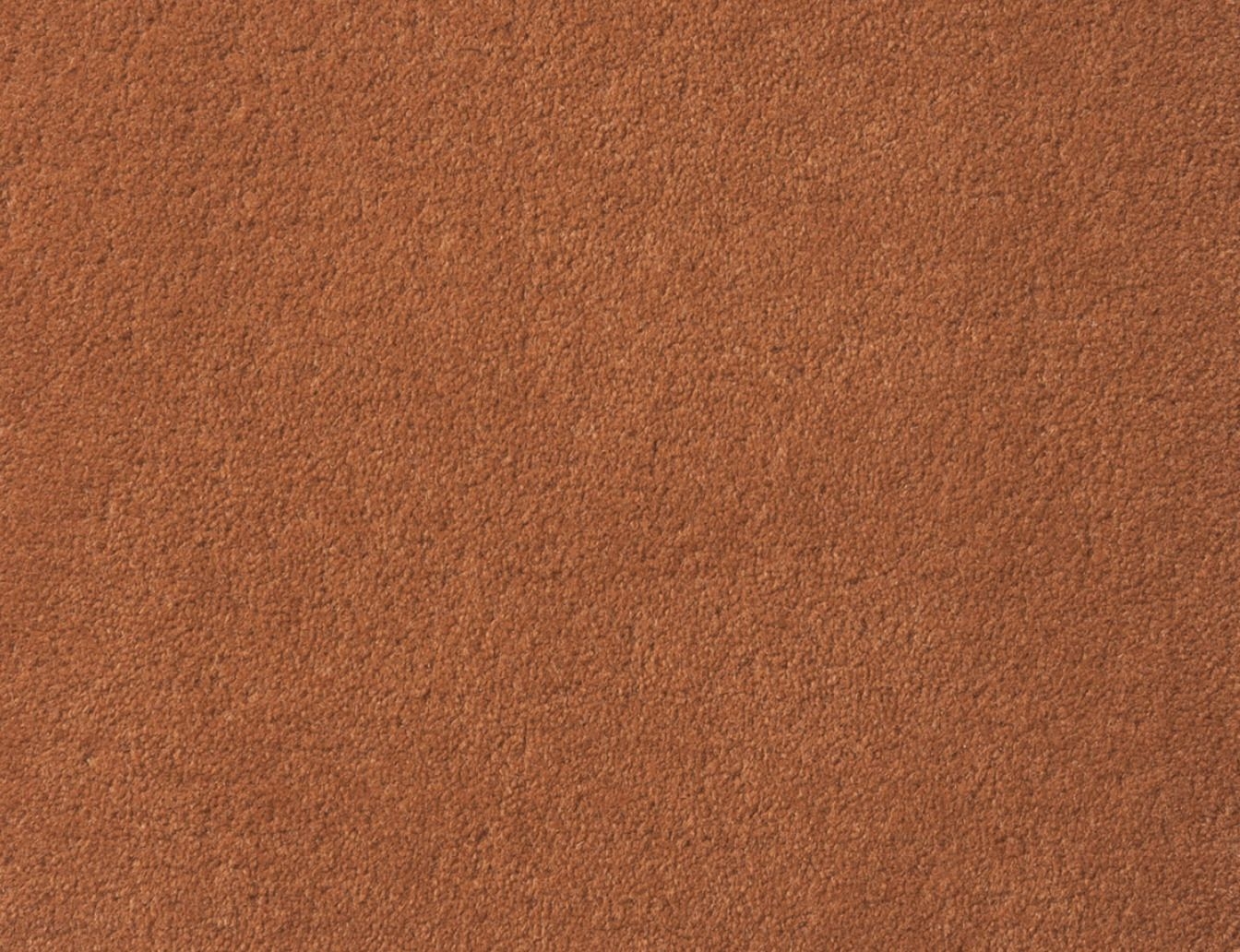 TAN | TECTURE（テクチャー）