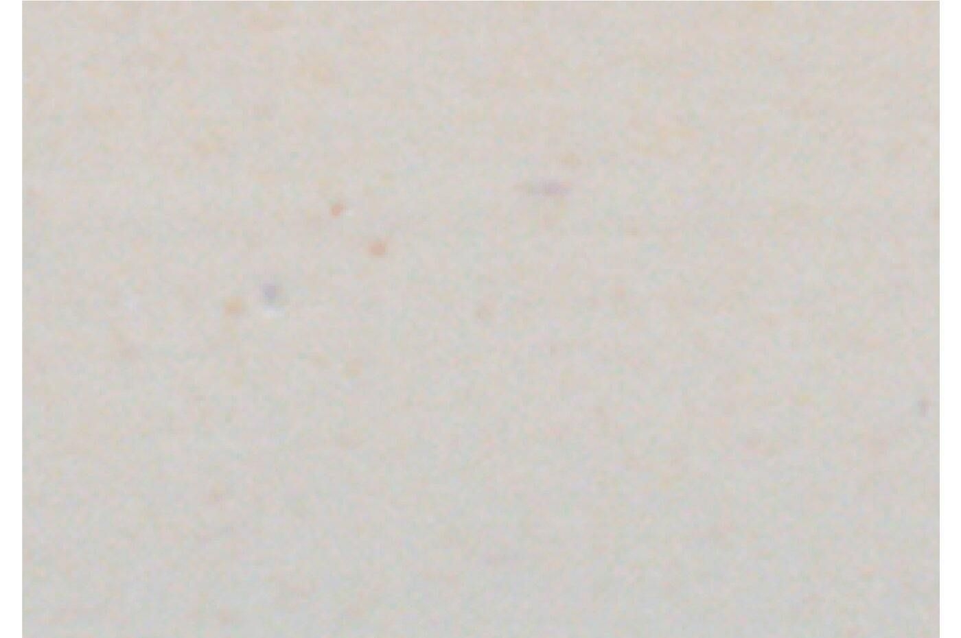 プラスッド ルーバー／t30・CN（粗しなし）タイプ | TECTURE（テクチャー）