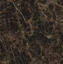 ビストロ 磨き - エンペラドール | TECTURE（テクチャー）