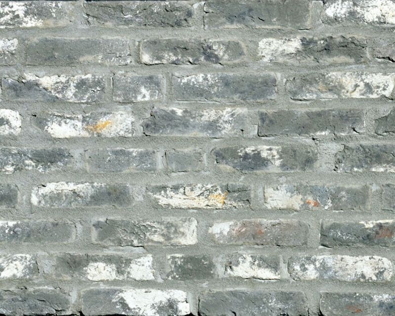 アムステルダム(AM) | TECTURE（テクチャー）