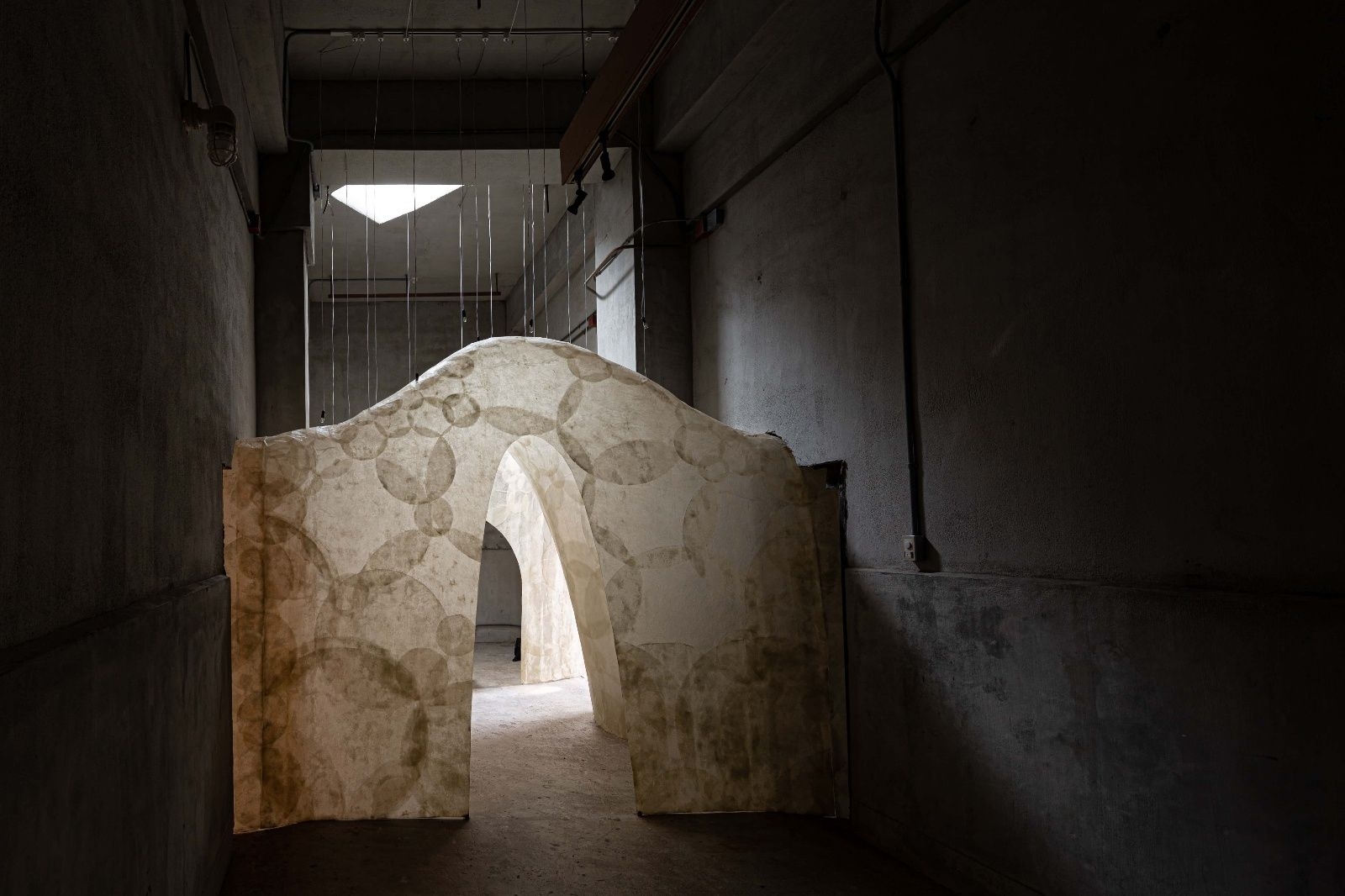 Fujihimuro（gallery）の写真 | TECTURE（テクチャー）