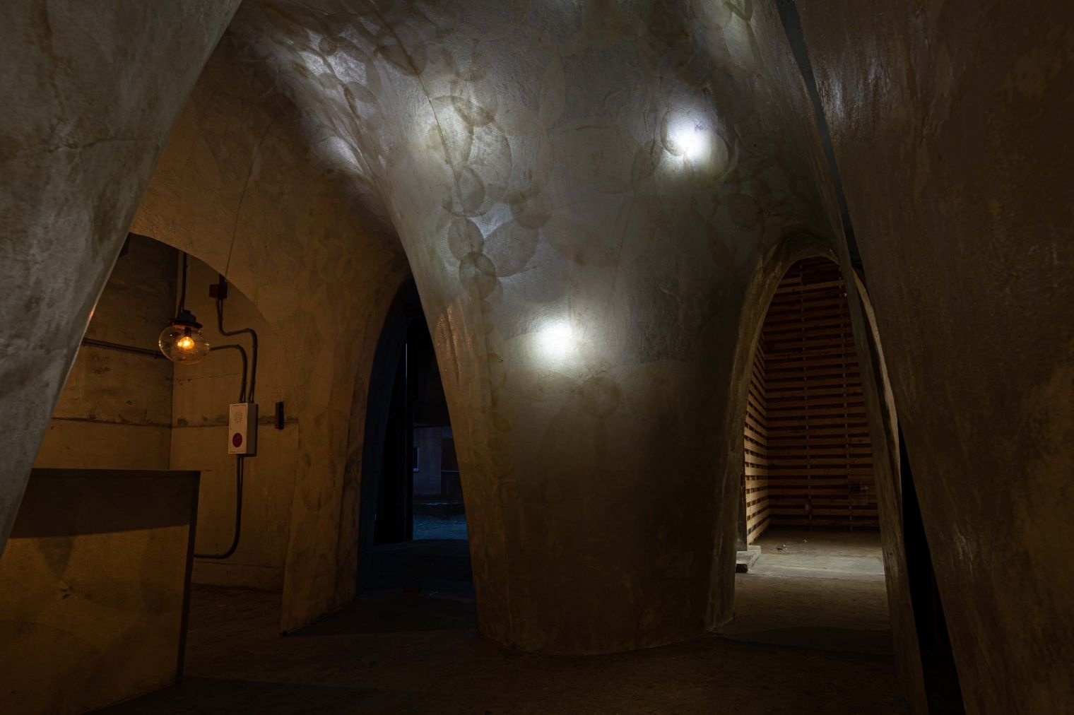 Fujihimuro（gallery）の写真 | TECTURE（テクチャー）