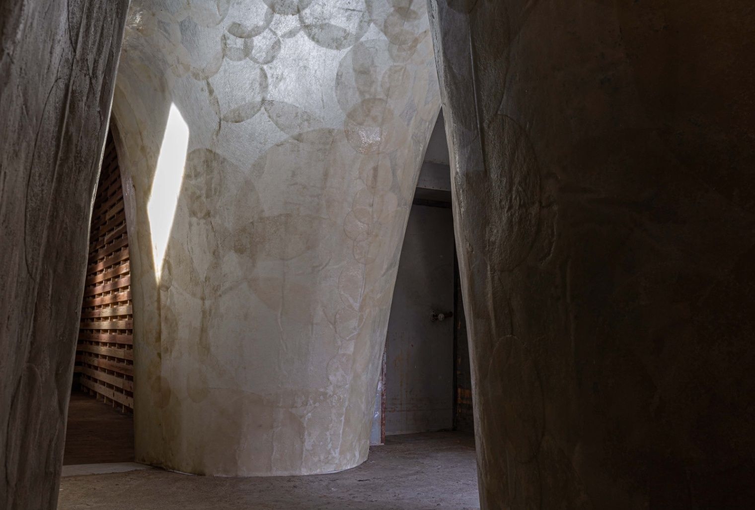 Fujihimuro（gallery）の写真 | TECTURE（テクチャー）