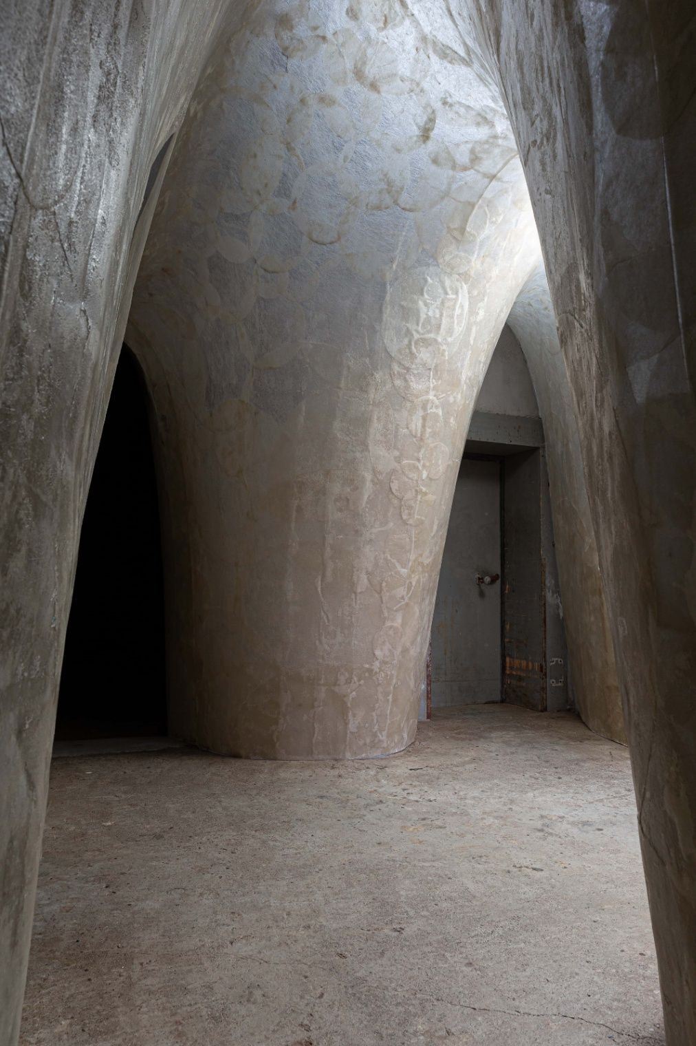 Fujihimuro（gallery）の写真 | TECTURE（テクチャー）