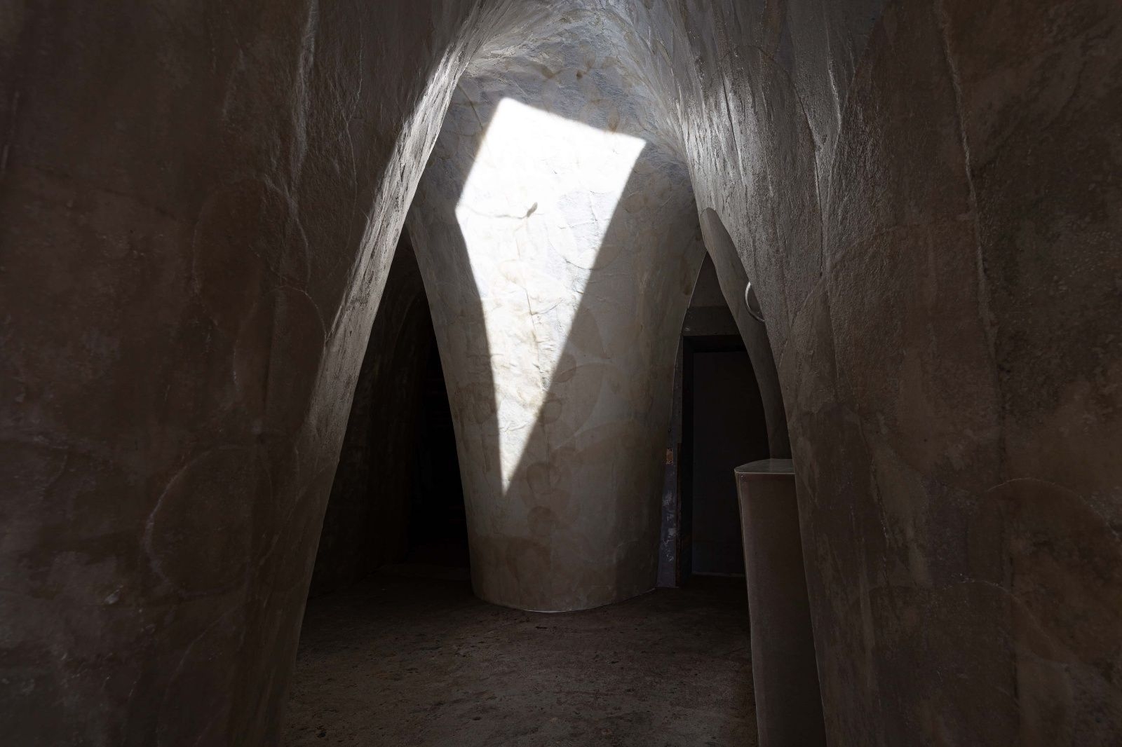 Fujihimuro（gallery）の写真 | TECTURE（テクチャー）