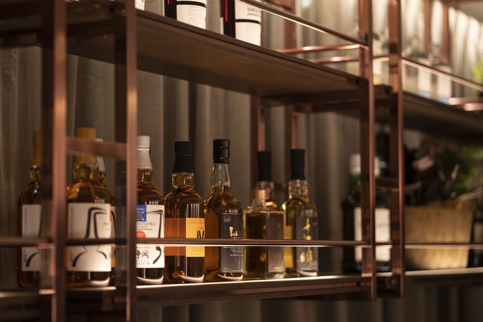 Bar / Roppongiの写真 | TECTURE（テクチャー）