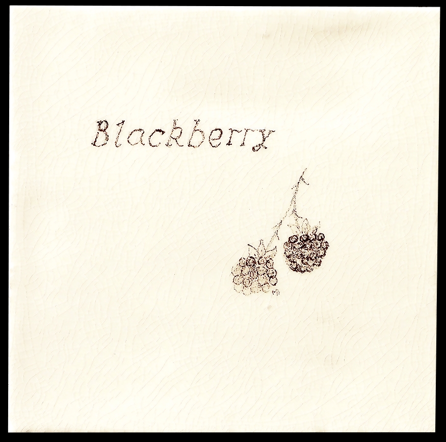 Contemporary/コンテンポラリー - ブラックベリー-B | TECTURE（テクチャー）