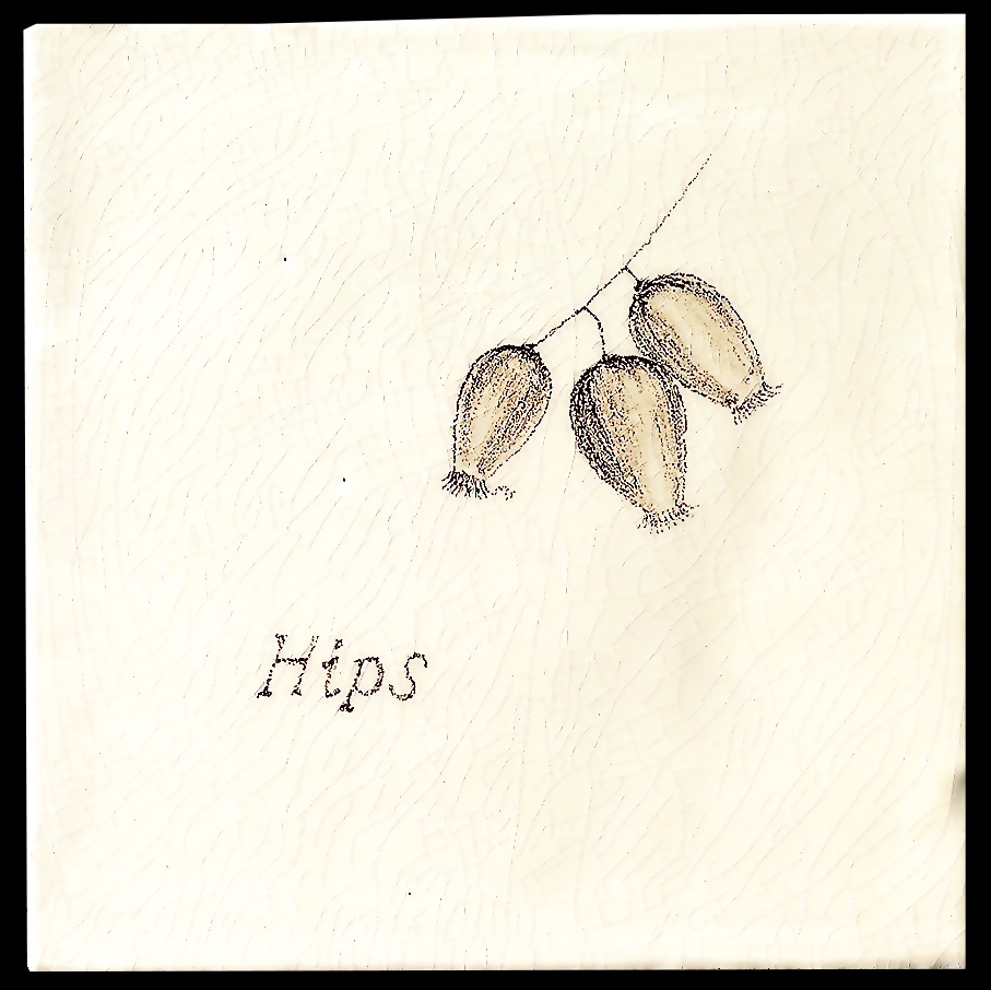 Contemporary/コンテンポラリー - ヒップス-B | TECTURE（テクチャー）