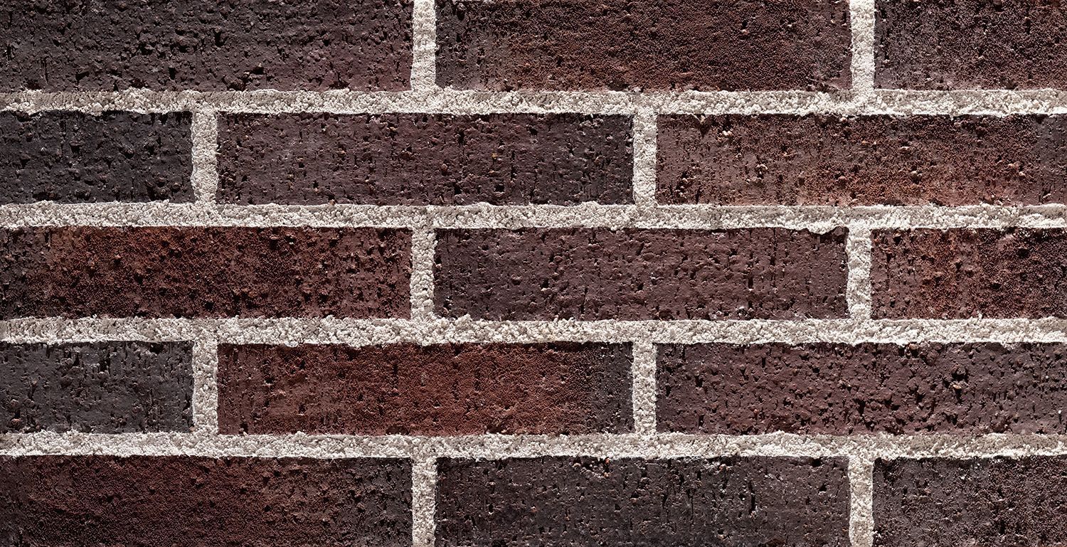 RUIZ_50/ルイズフィフティー | TECTURE（テクチャー）