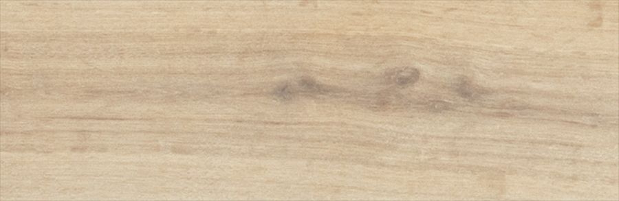 ワイルドスタンダード | TECTURE（テクチャー）