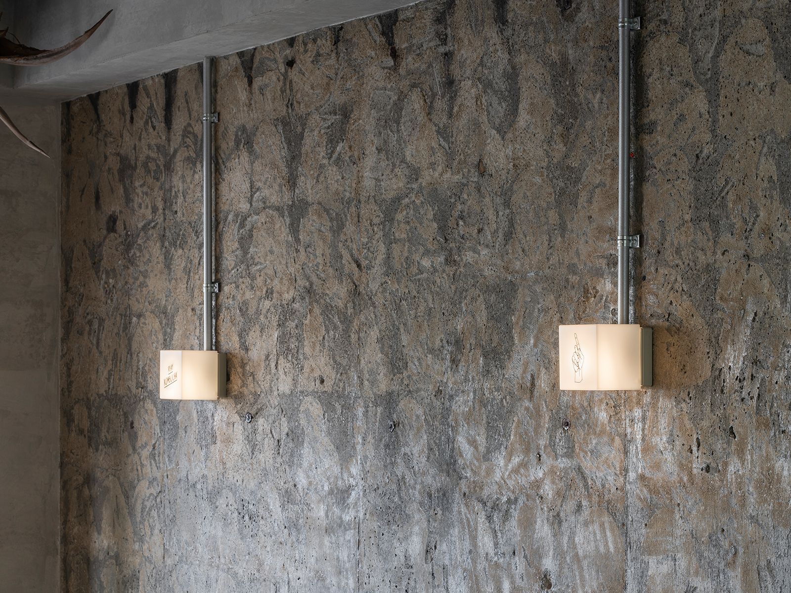 Plus Kombuchaの写真 | TECTURE（テクチャー）