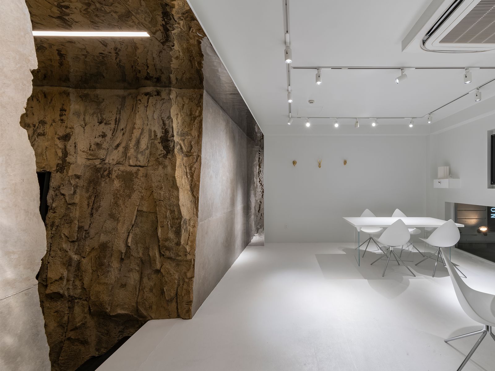 Vitalityの写真 | TECTURE（テクチャー）