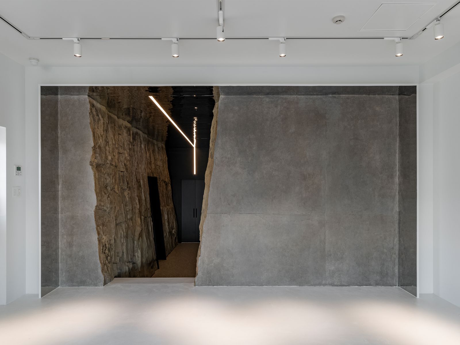 Vitalityの写真 | TECTURE（テクチャー）