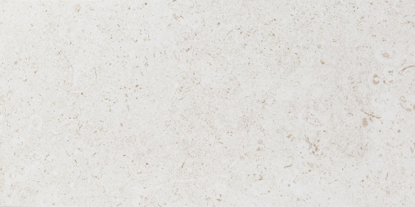 リミテッド | TECTURE（テクチャー）