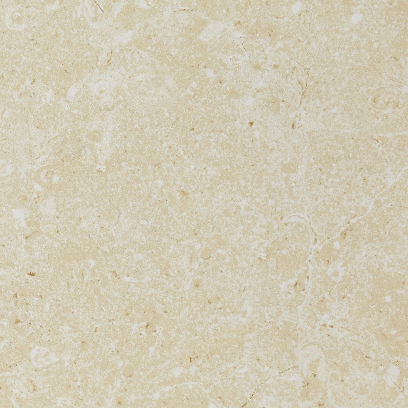 リミテッド | TECTURE（テクチャー）