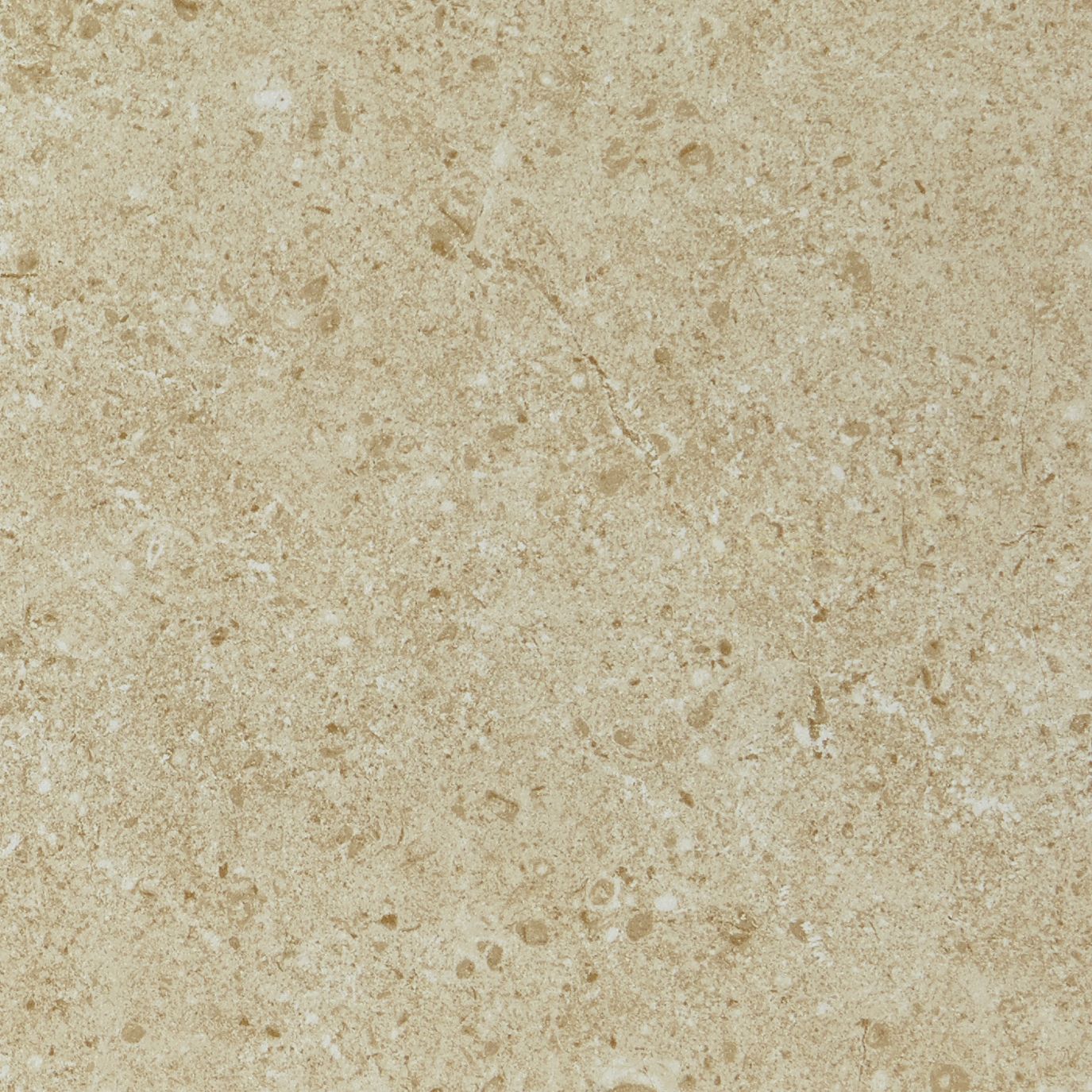 リミテッド | TECTURE（テクチャー）