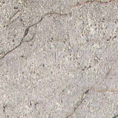 モイスNTデザイン - ファインクレマ | TECTURE（テクチャー）