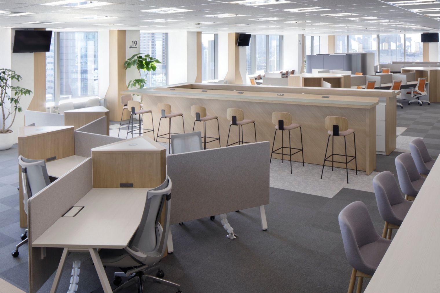 ソウルドアウト株式会社 の写真 | TECTURE（テクチャー）