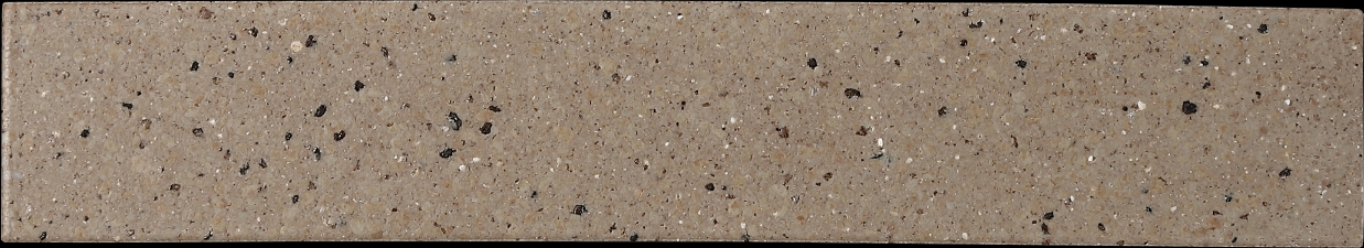 ルイボスボーダー | TECTURE（テクチャー）