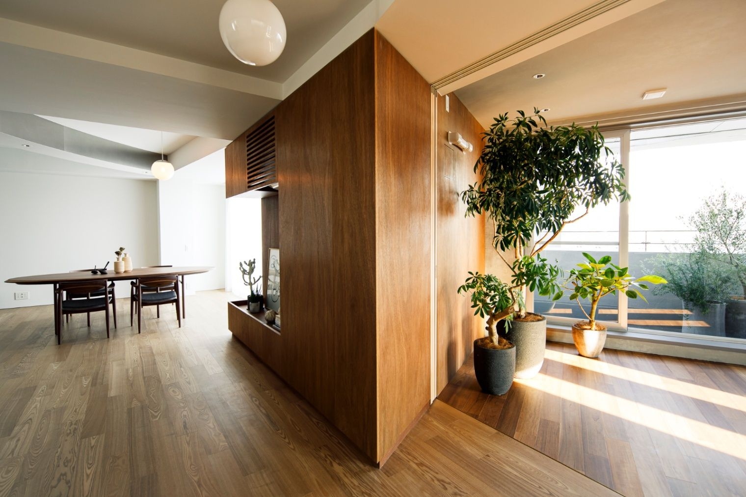 TSUKUYOMIの写真 | TECTURE（テクチャー）