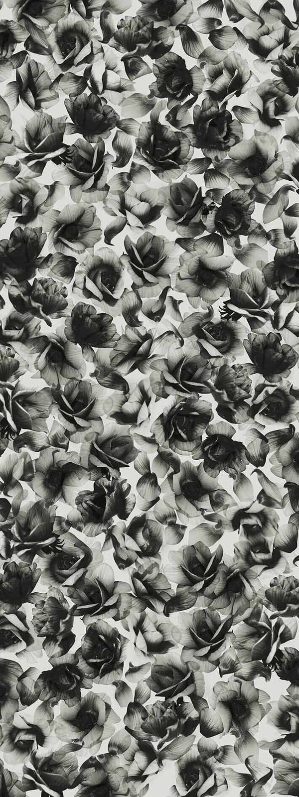 +WONDERセラール / メラミン不燃化粧板 - WF-3080Z Monochrome | TECTURE（テクチャー）