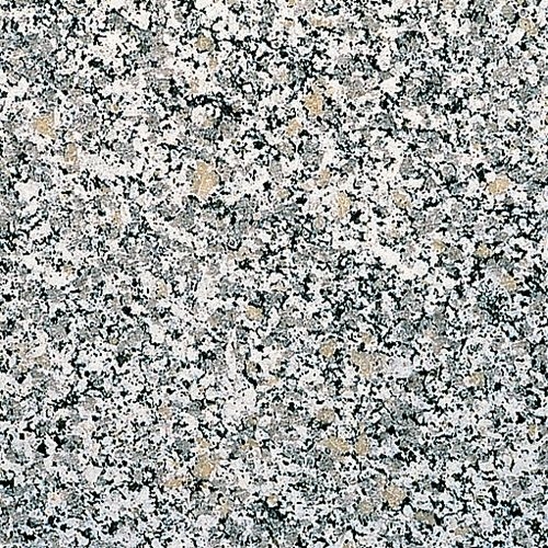 Salvatore/サルヴァトーレ | TECTURE（テクチャー）