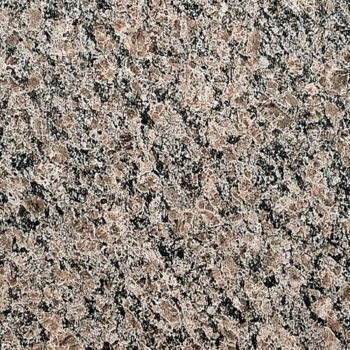 Salvatore/サルヴァトーレ - カレドニア 磨 | TECTURE（テクチャー）