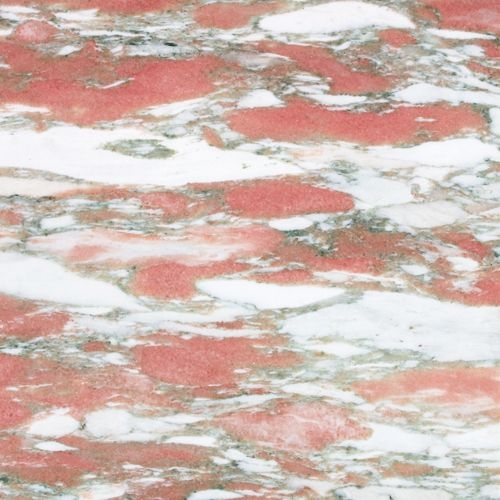 Verona/ベローナ - ノルウェージャンローズ | TECTURE（テクチャー）