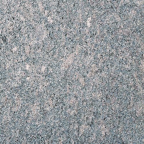 Marcopolo/マルコポーロ | TECTURE（テクチャー）