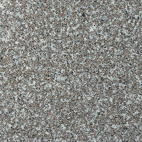 Marcopolo/マルコポーロ | TECTURE（テクチャー）